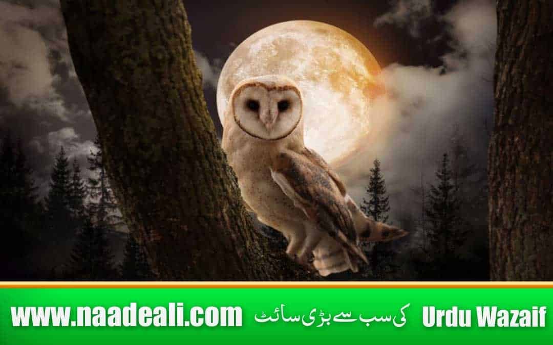 Ullu Ka Khoon Taweez Ka Tor - Online Istikhara
